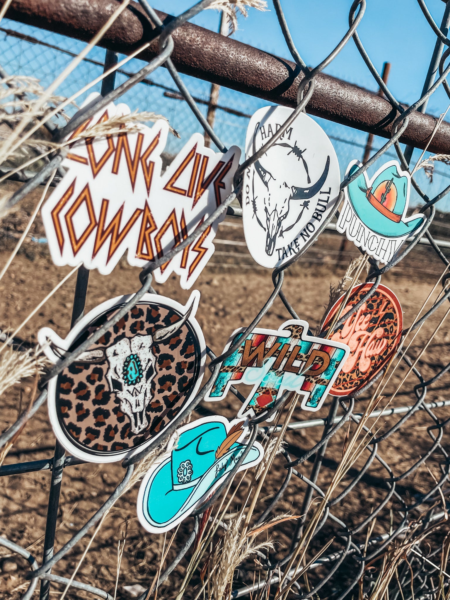 10 Piece Western Sticker Pack – EDGY COWGIRL CO